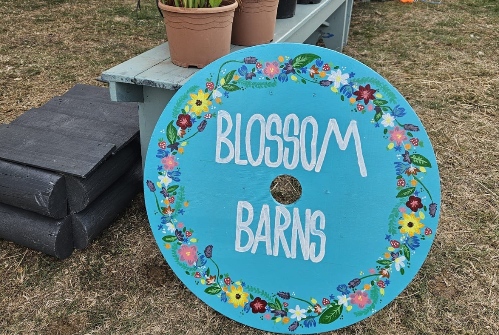Blossom Barns Blooms at Summer Shows | Bethphage News